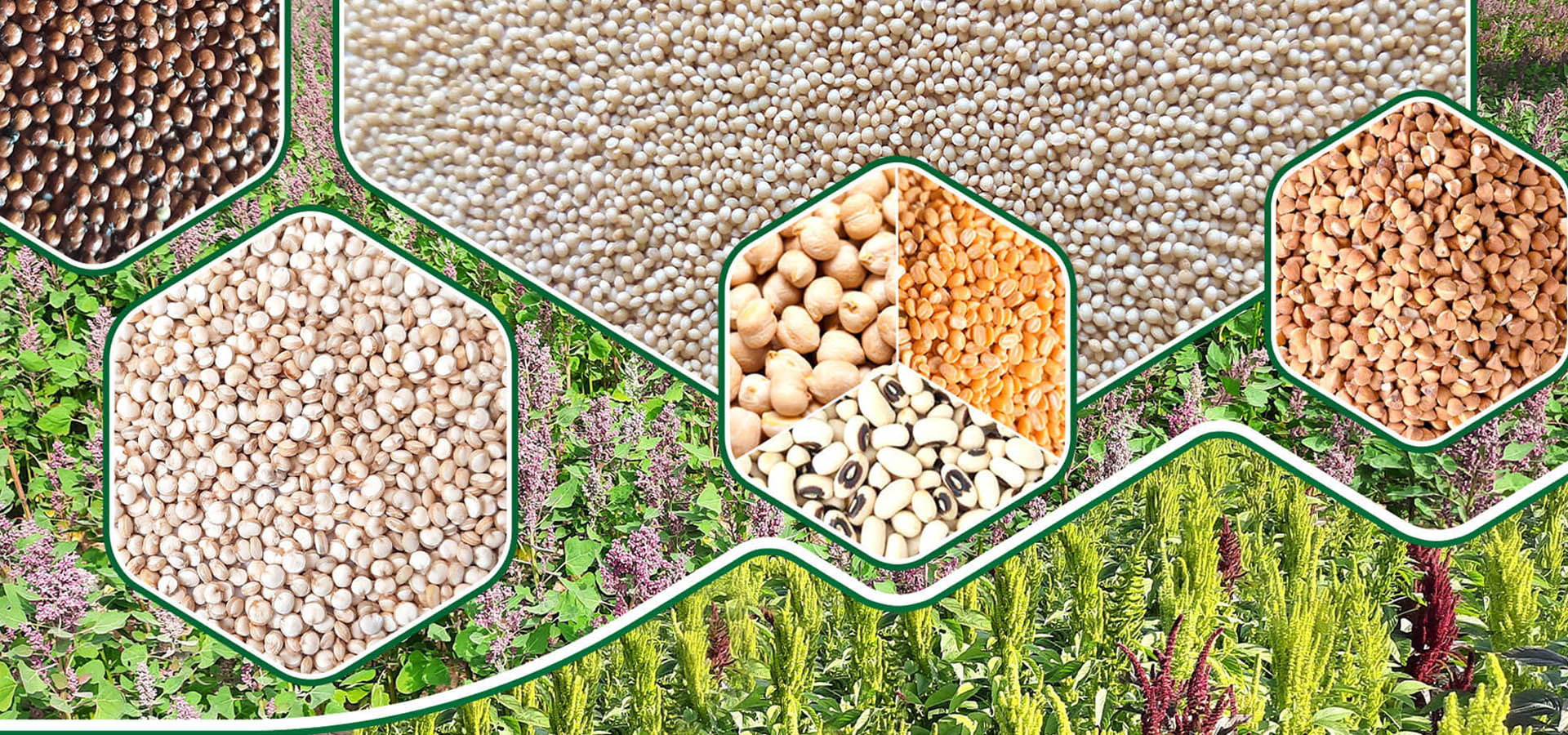 Caps Lock General Trading LLC